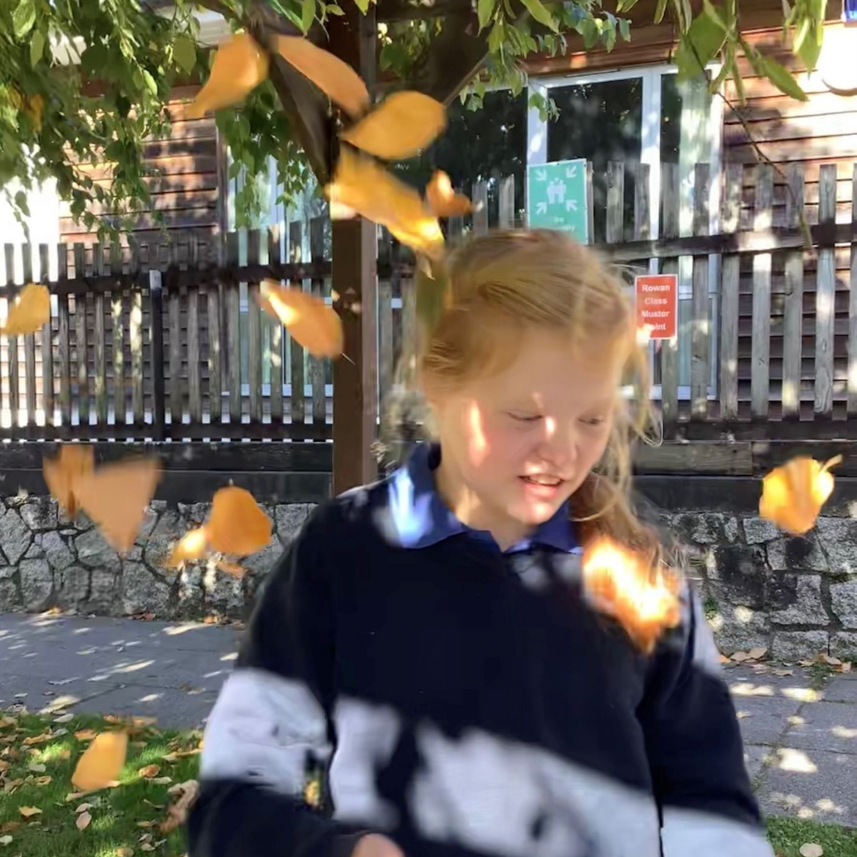 Doubletrees School - This week in the Discovery pathway.....